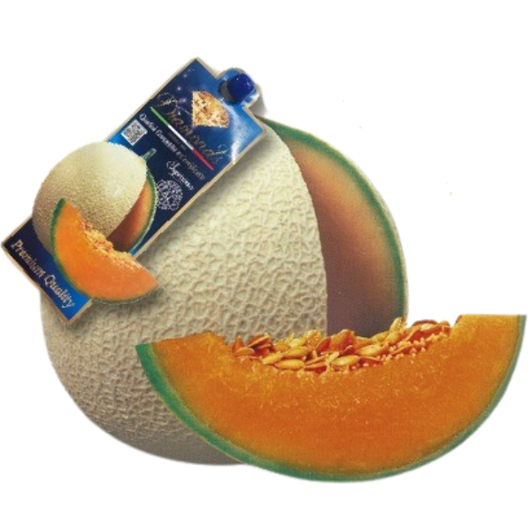 Italian Diamond Melon 1 Piece – Pacific Gourmet HK